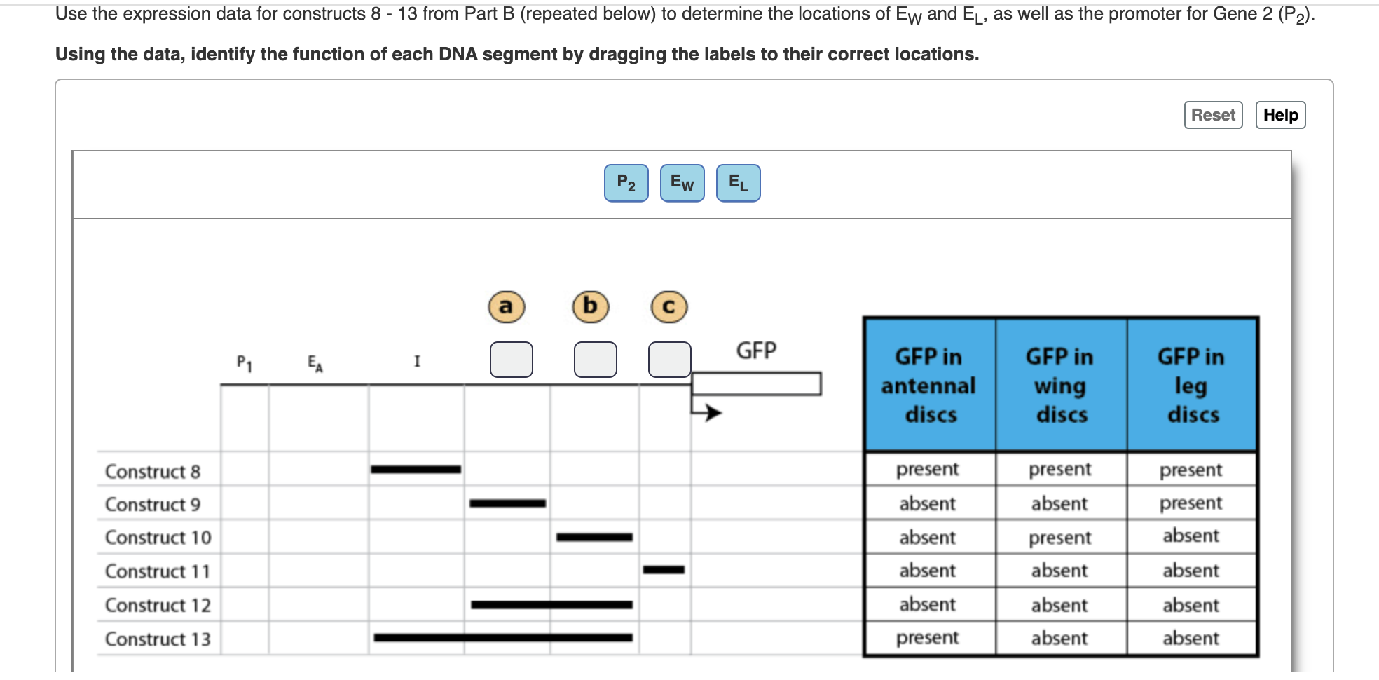 Solved Use the expression data for constructs 8 - 13 from | Chegg.com
