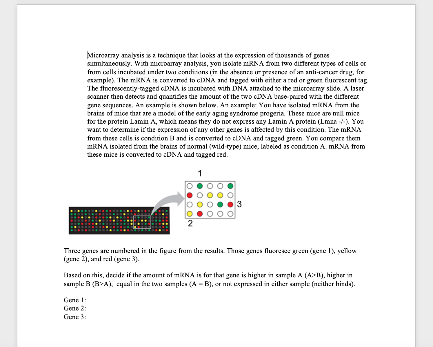 Solved Microarray analysis is a technique that looks at the | Chegg.com