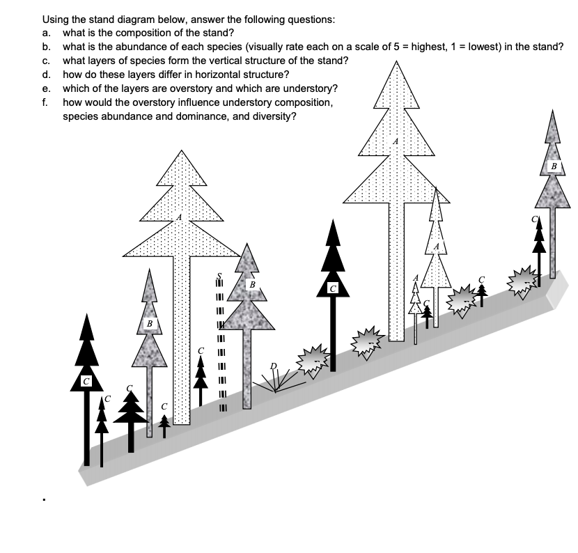 Solved Using the stand diagram below, answer the following | Chegg.com