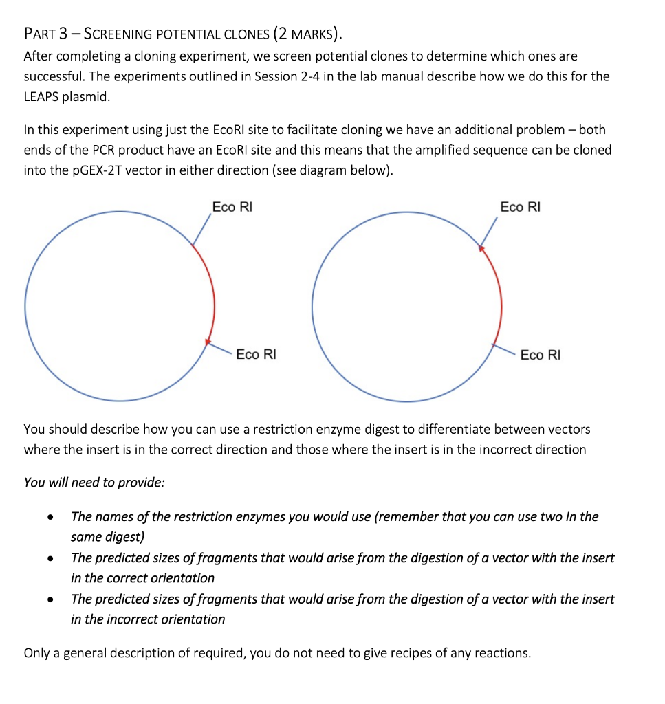 Solved PART 3-SCREENING POTENTIAL CLONES (2 MARKS). After | Chegg.com