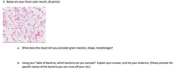 3. Below are your Gram stain results. (8 points) a. | Chegg.com