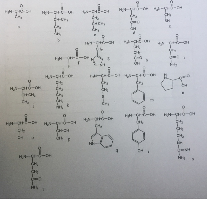 Solved 8 8 H2N-CHC-OH H2N-CH-C-OH H2N-CHC-OH CH2 ?H-CH3 | Chegg.com
