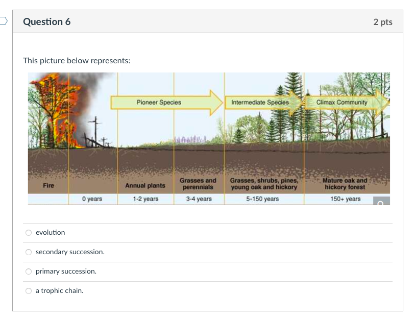 Solved Question 6 This picture below represents: Fire 0 | Chegg.com