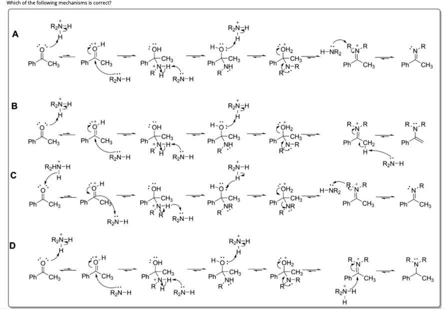 Solved Which of the following mechanisms is correct? R2NH | Chegg.com