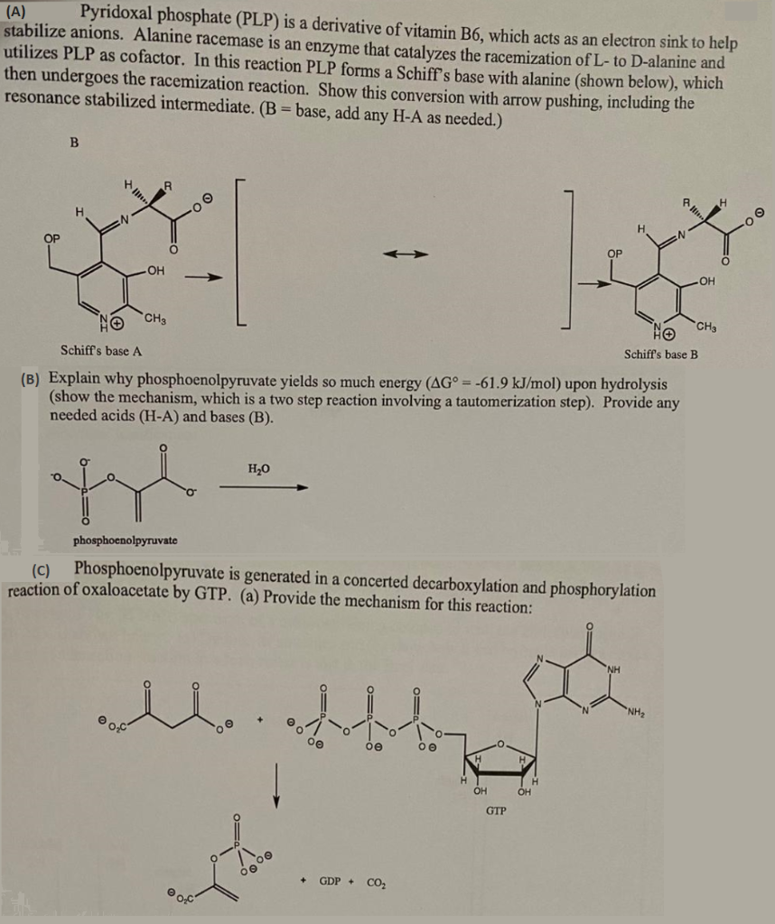 (A) Pyridoxal phosphate (PLP) is a derivative of | Chegg.com