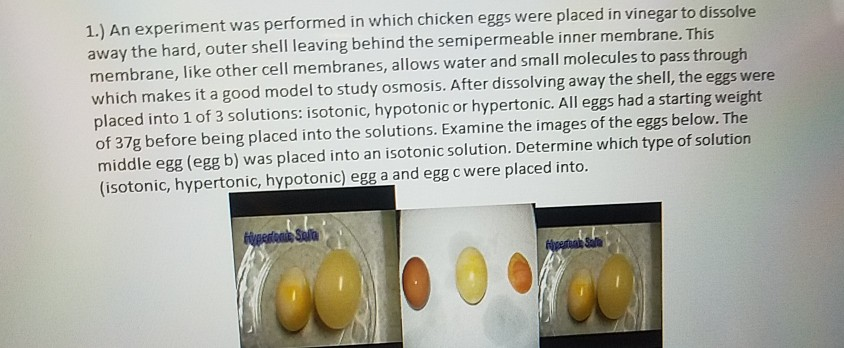 Solved 1.) An experiment was performed in which chicken eggs | Chegg.com