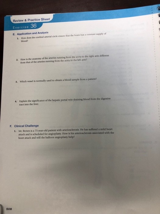 Solved Review & Practice Sheet Exercise 2. Label the veins | Chegg.com