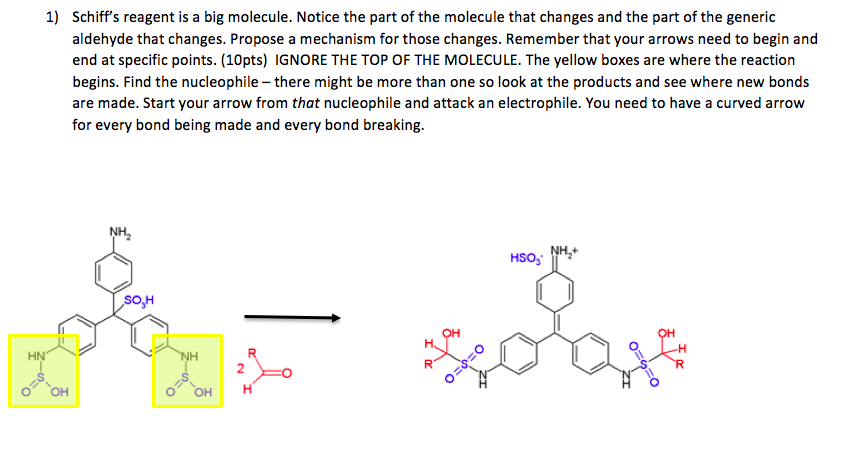 Solved 1) Schiff's reagent is a big molecule. Notice the | Chegg.com