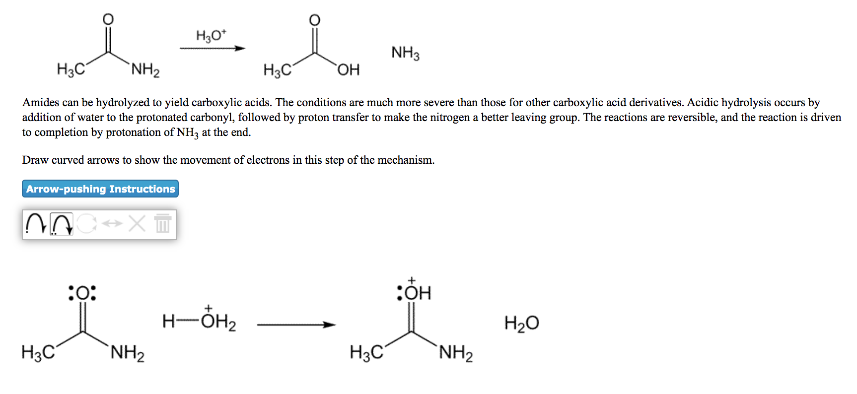 Solved H30* NH3 H3C NH2 H3C OH Amides can be hydrolyzed to | Chegg.com