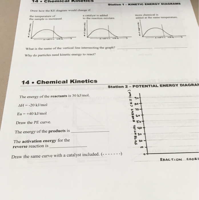 Solved 14-Chemical Kinetics Station 1-KINETIC ENERGY | Chegg.com
