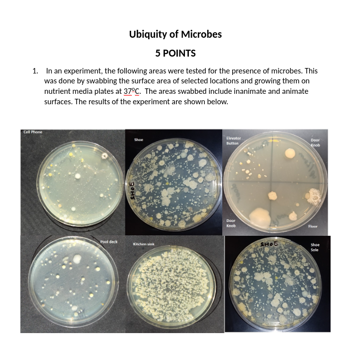 Solved 1. In an experiment, the following areas were tested | Chegg.com