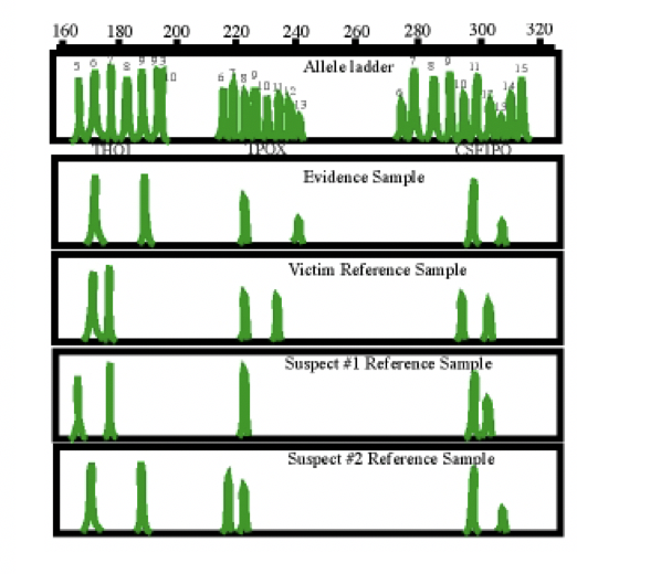 Solved a. For a trial using DNA evidence, what technique | Chegg.com