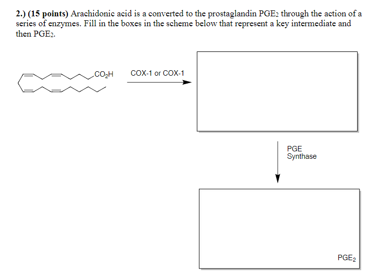 Solved 2.) (15 points) Arachidonic acid is a converted to | Chegg.com Solved 2.) (15 points) Arachidonic acid is a converted to | Chegg.com
