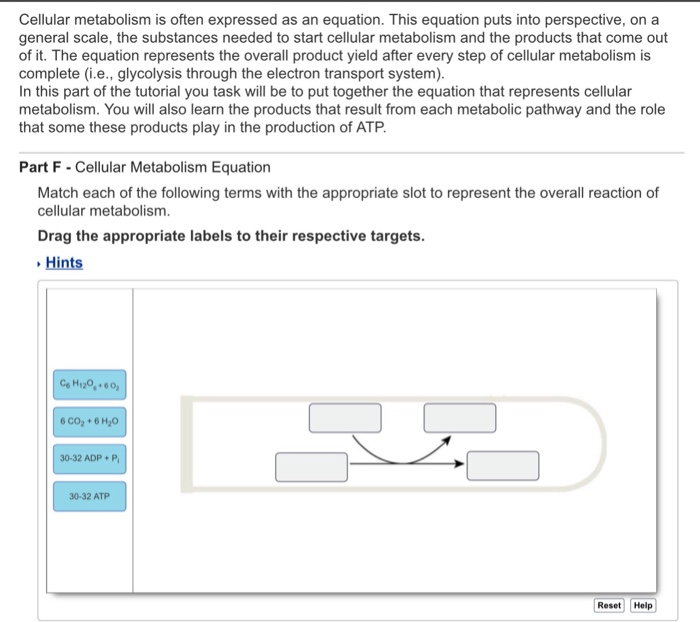 Biology Archive | September 15, 2017 | Chegg.com