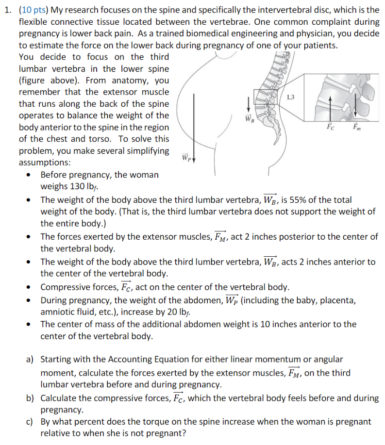 Solved 1. (10 pts) My research focuses on the spine and | Chegg.com