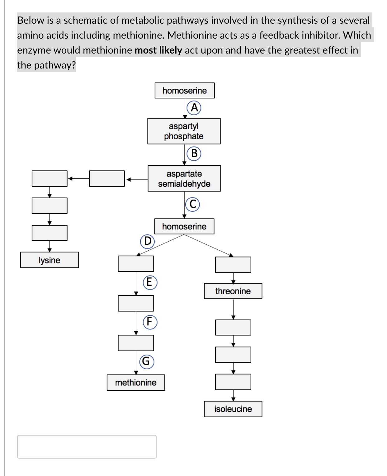 Solved Below is a schematic of metabolic pathways involved | Chegg.com