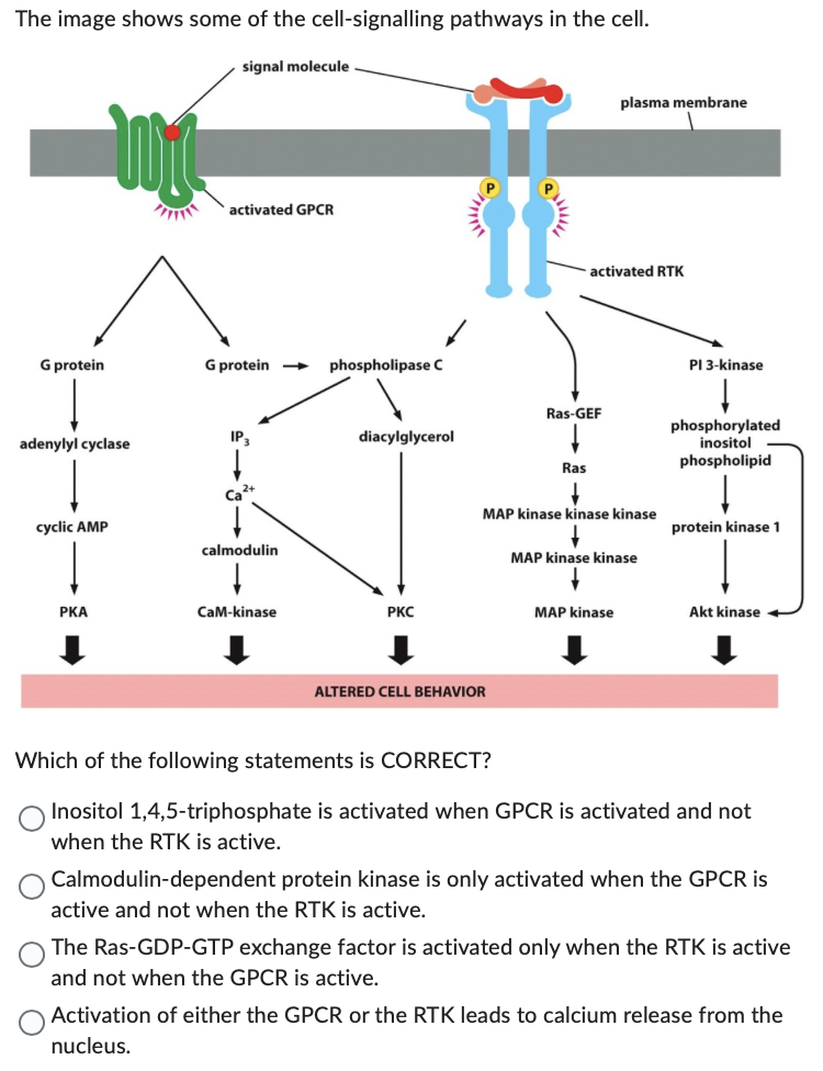 Solved The image shows some of the cell-signalling pathways | Chegg.com