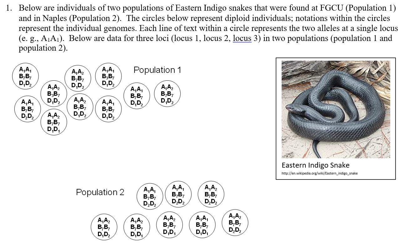 In the figure below (Eastern Indigo snakes), is locus | Chegg.com
