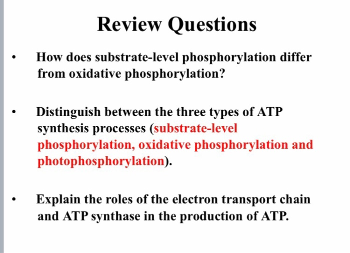 Substrate Level Phosphorylation And Oxidative Phosphorylation