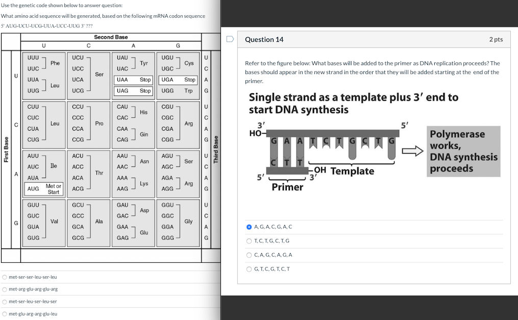 Solved Use the genetic code shown below to answer question: | Chegg.com