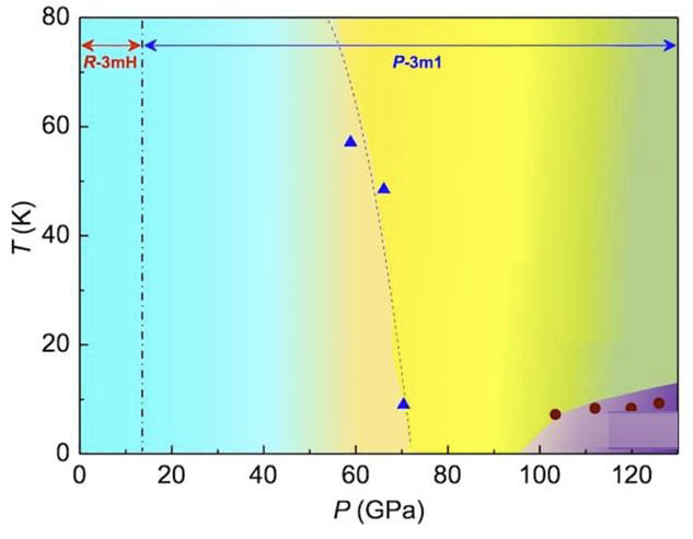 The pressure-temperature (PT) phase diagram of | Chegg.com