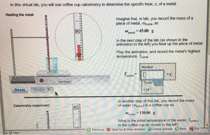 Solved In this virtual lab, you will use coffee cup | Chegg.com
