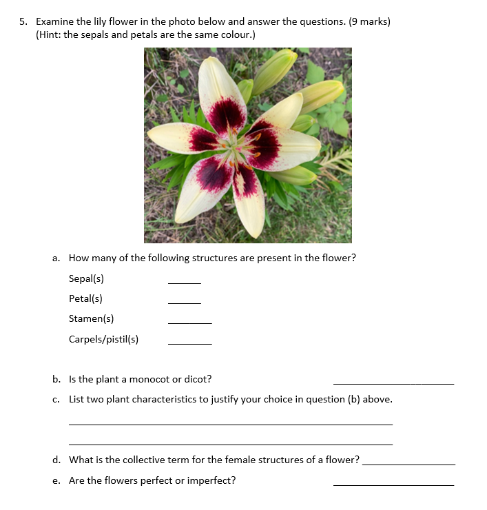 Flower Structure And Function Worksheet Answers | Best Flower Site