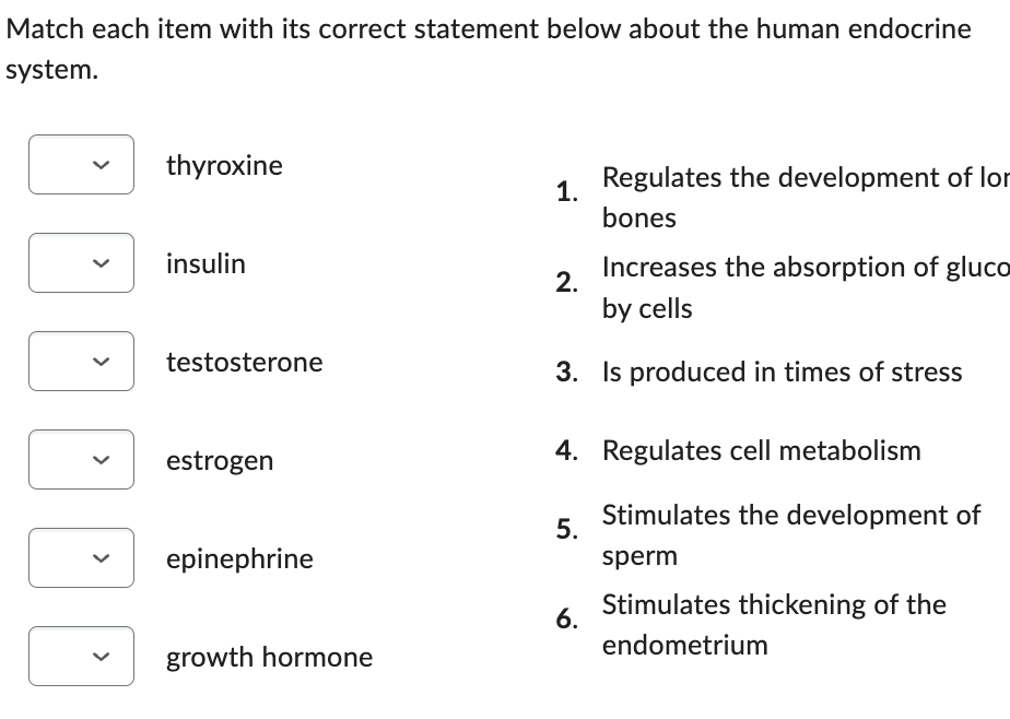 Solved Match each item with its correct statement below | Chegg.com