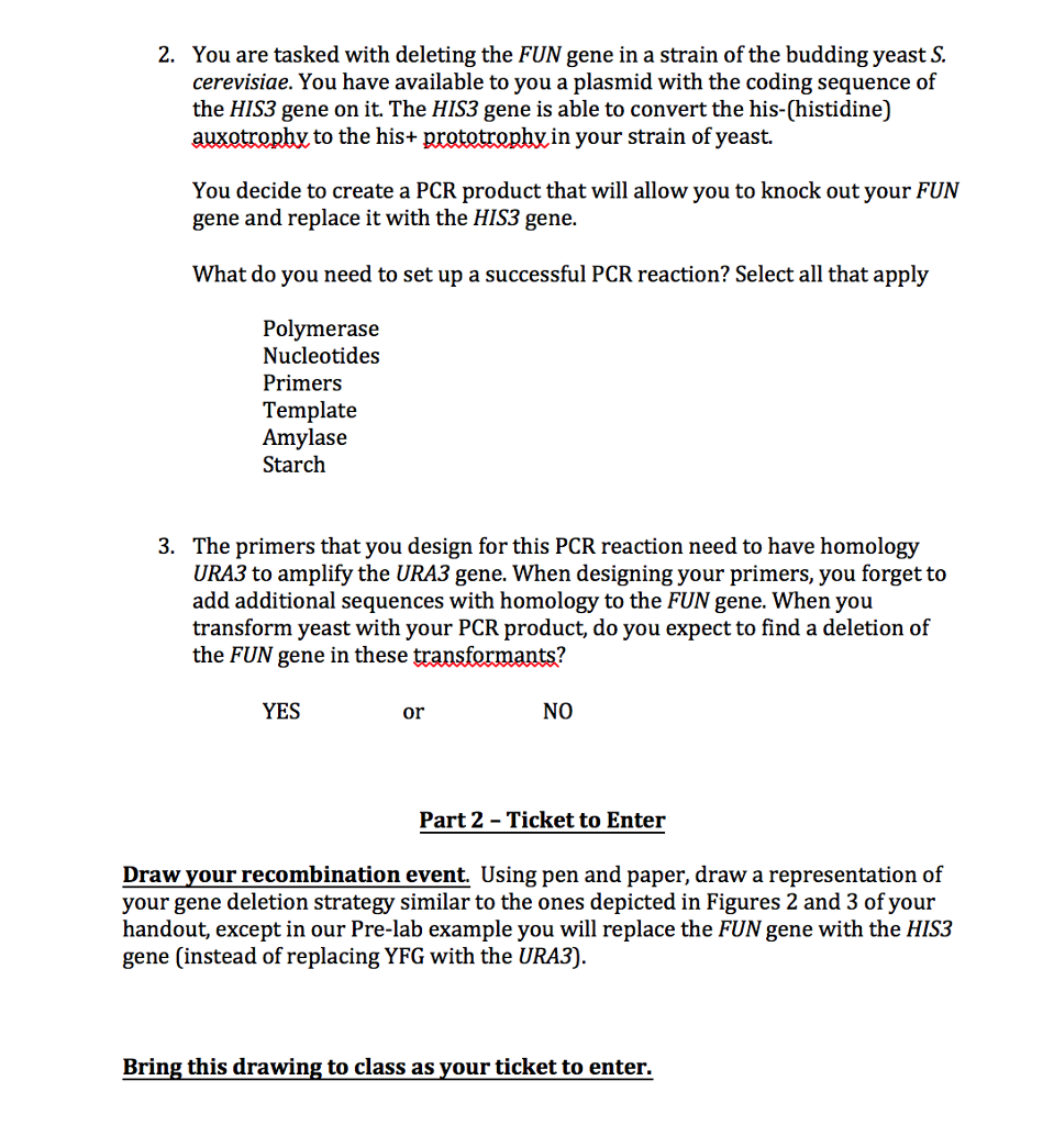 Solved Part 1 1. You set up a PCR reaction with the | Chegg.com