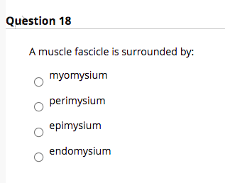 Solved Question 17 a) In the endocrine system, does it | Chegg.com