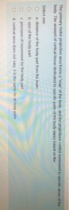 Solved The primary motor projection area forms a "map" of | Chegg.com