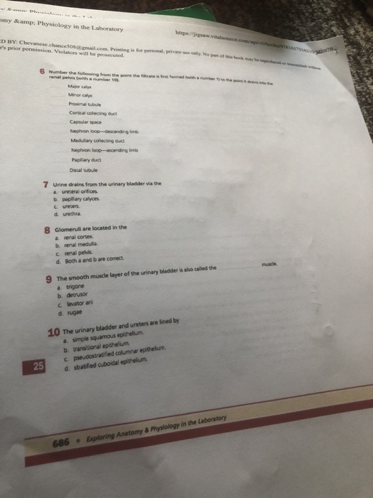 Solved omy & Physiology in the Laboratory bttpa:jigsaw.vi D | Chegg.com