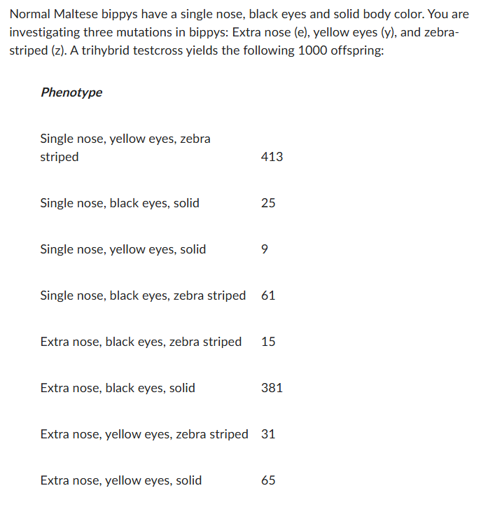 Solved by an EXPERT Normal Maltese bippys have a single nose, black ...