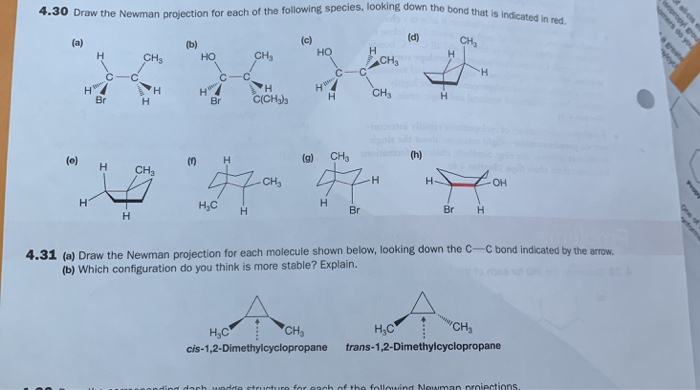 Solved 4.30 Draw the Newman projection for each of the | Chegg.com