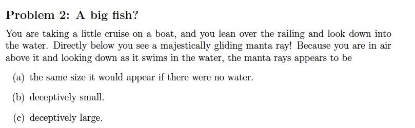 Solved Problem 2: A big fish? You are taking a little cruise | Chegg.com