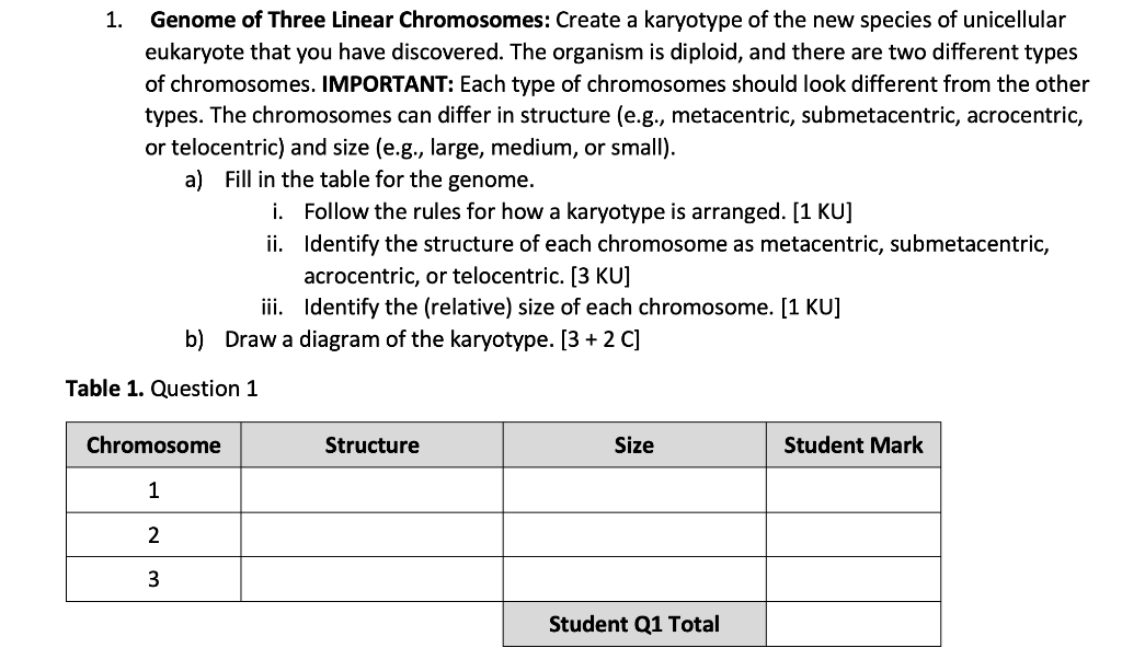 1. Genome of Three Linear Chromosomes: Create a | Chegg.com