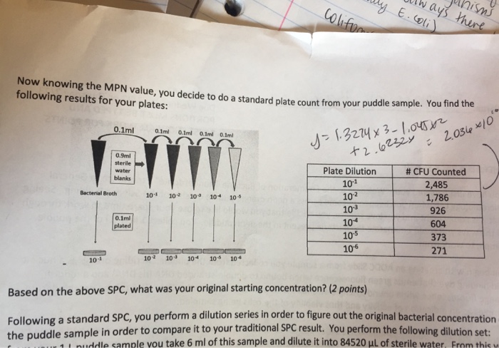 Solved Now knowing the MPN value, you decide to do a | Chegg.com