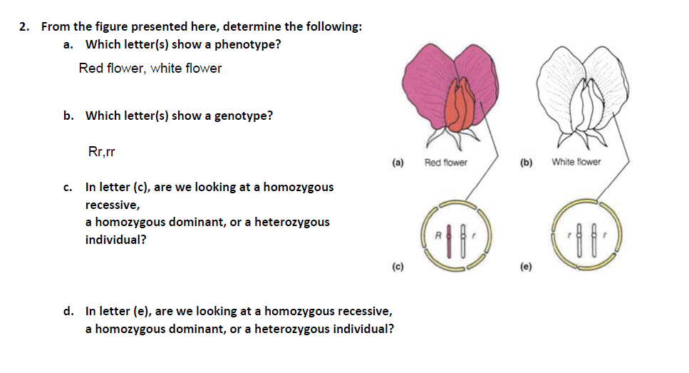 Solved 2. From the figure presented here, determine the | Chegg.com