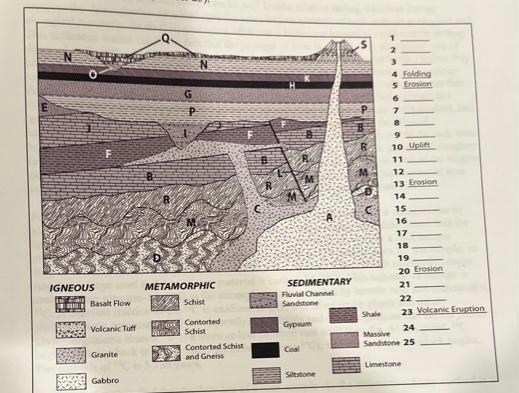 Solved 1)Which stratigraphic principle(s) did you use to | Chegg.com