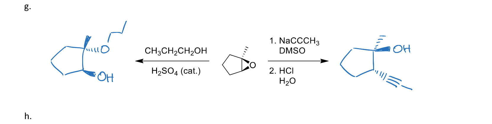 Solved g. fullo 0 1. NaCCCH3 DMSO CH3CH2CH2OH OH 애 OH H2SO4 | Chegg.com
