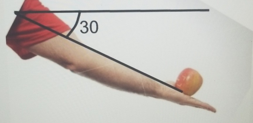Solved An outstretched arm is holding an apple with a mass | Chegg.com