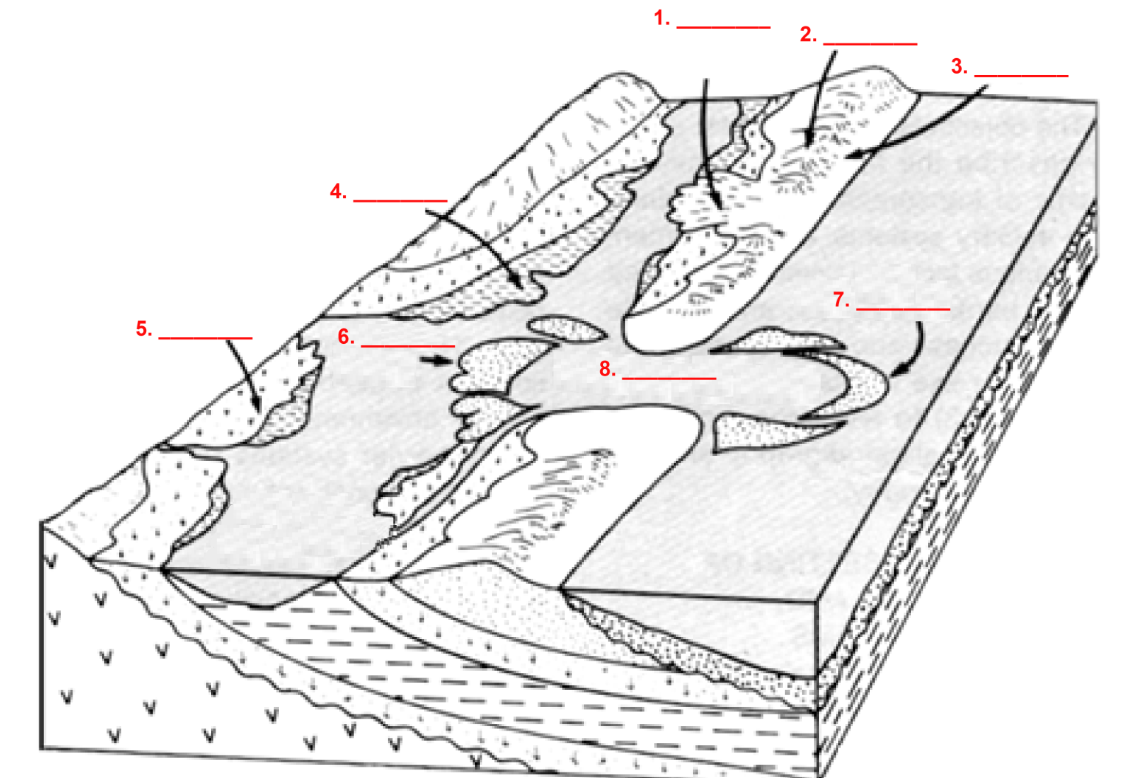 solved-sedimentary-environments-questions-30-label-the-chegg