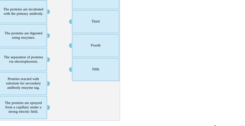 Solved Scoring: You must get all matches correct to get | Chegg.com