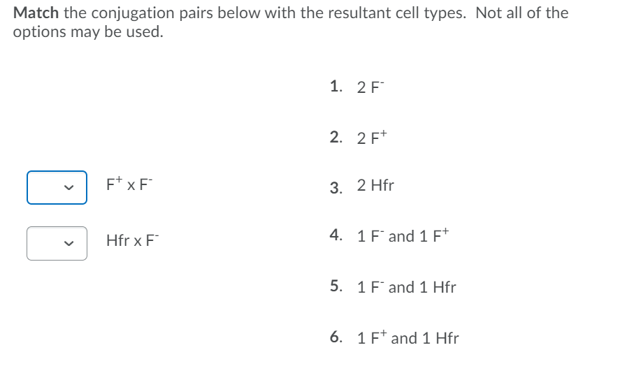 Solved Match the conjugation pairs below with the resultant | Chegg.com