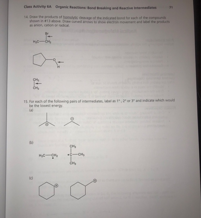 Solved Class Activity 6A Organic Reactions: Bond Breaking | Chegg.com