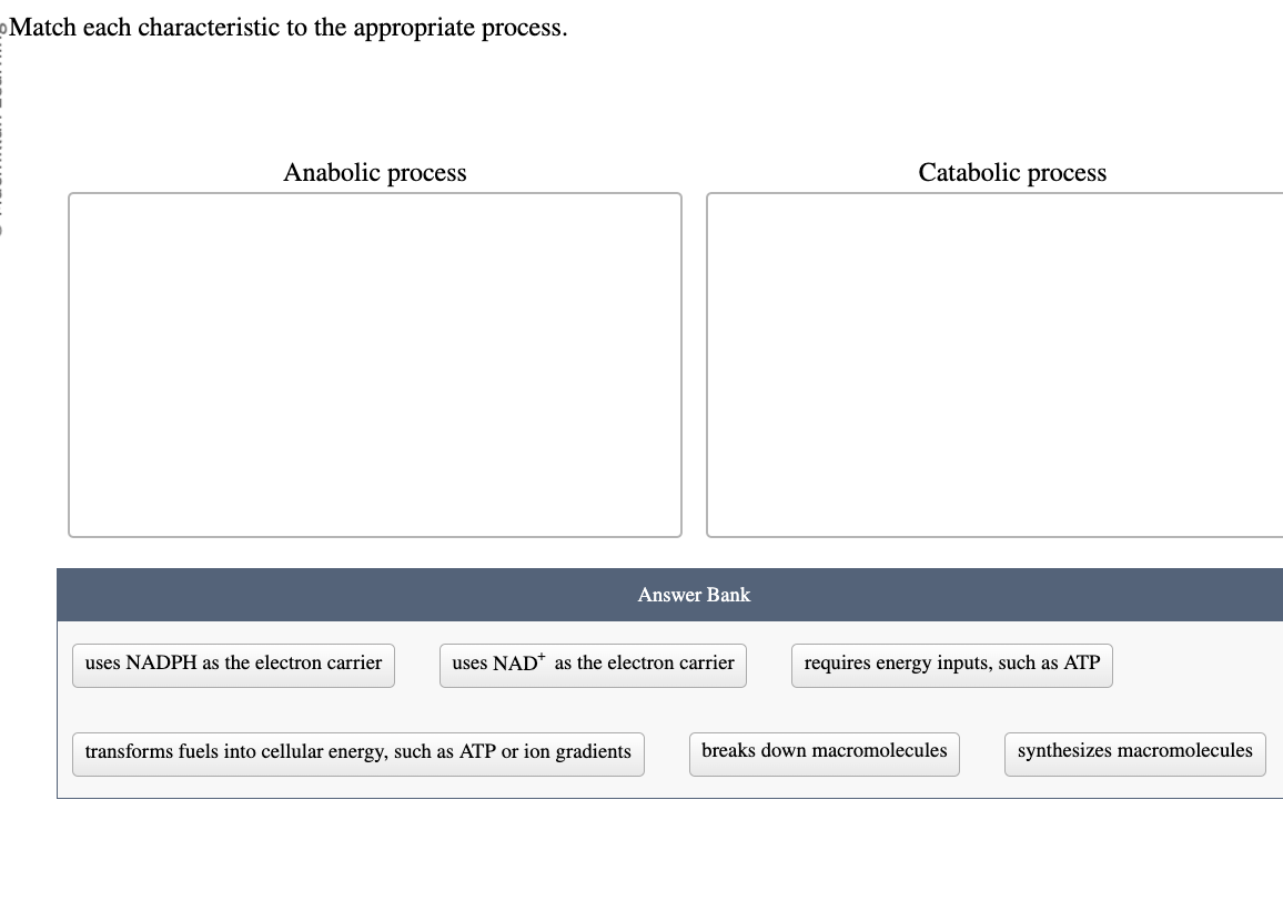 Solved Match each characteristic to the appropriate | Chegg.com