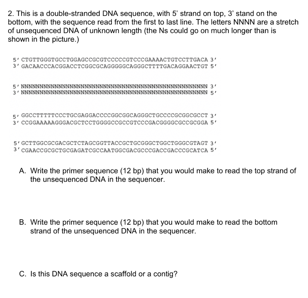 Solved 2. This is a double-stranded DNA sequence, with 5' | Chegg.com