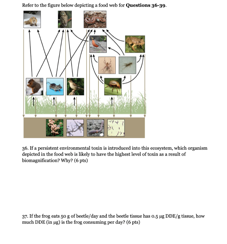 Solved Refer to the figure below depicting a food web for | Chegg.com
