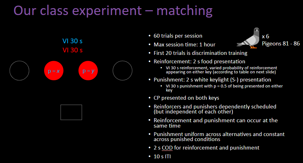 Solved Why were the matching data split by reinforcer ratio | Chegg.com