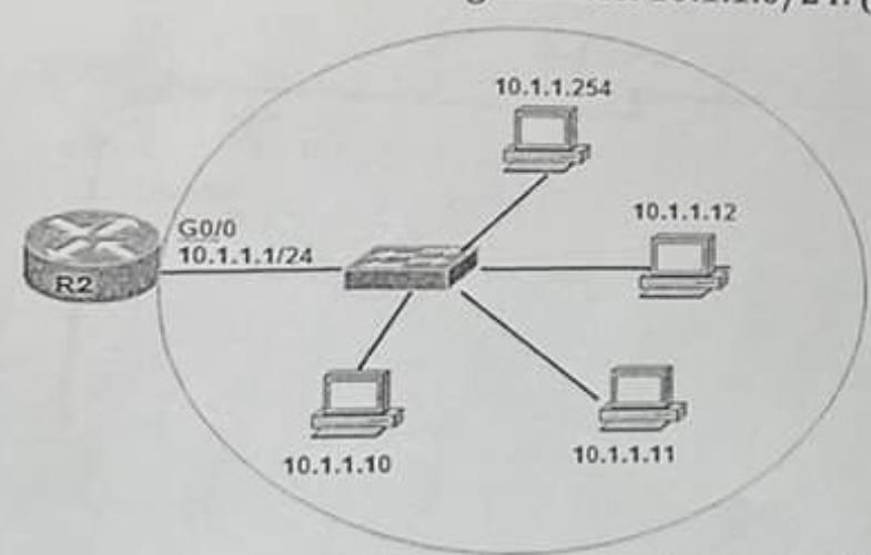 Solved Consider the following network 10.1.1.0/24 What are | Chegg.com